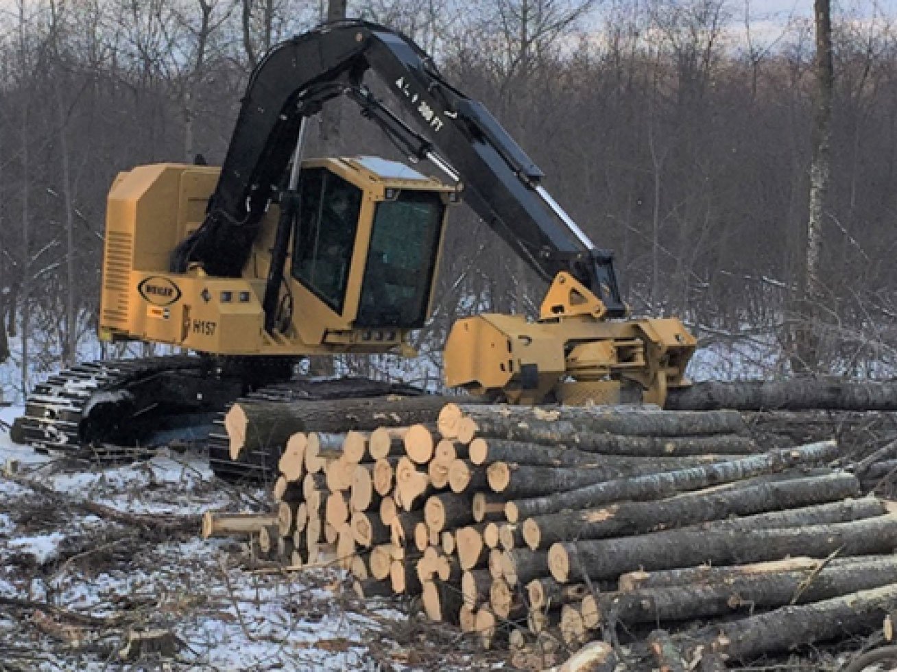 Forestry Equipment for Efficient & Effective Harvesting