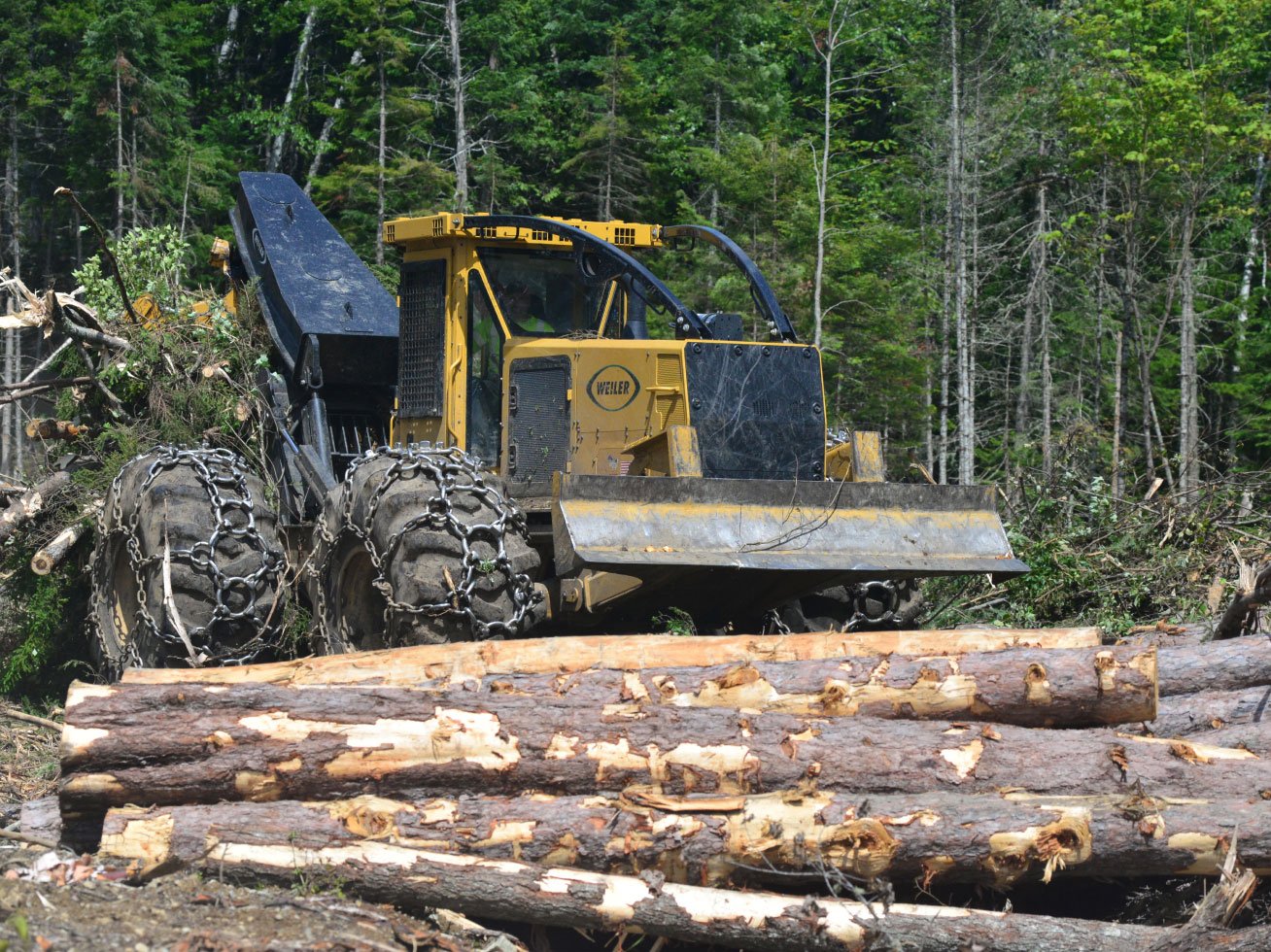 Forestry Equipment for Efficient & Effective Harvesting